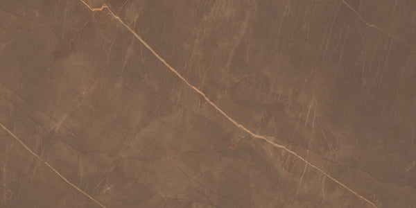 PISO PORCELANICO 60X120 ARMANI BRONZE PP167 - AZYCO